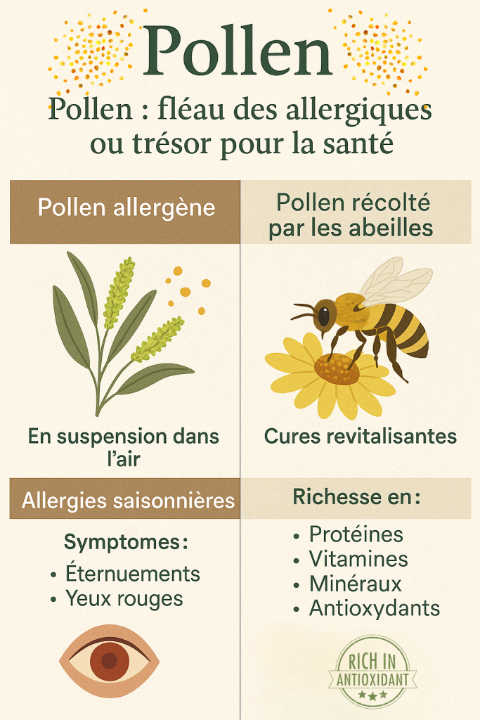 Pollen : danger ou remède ? Ce que vous devez vraiment savoir - Kaizen ...